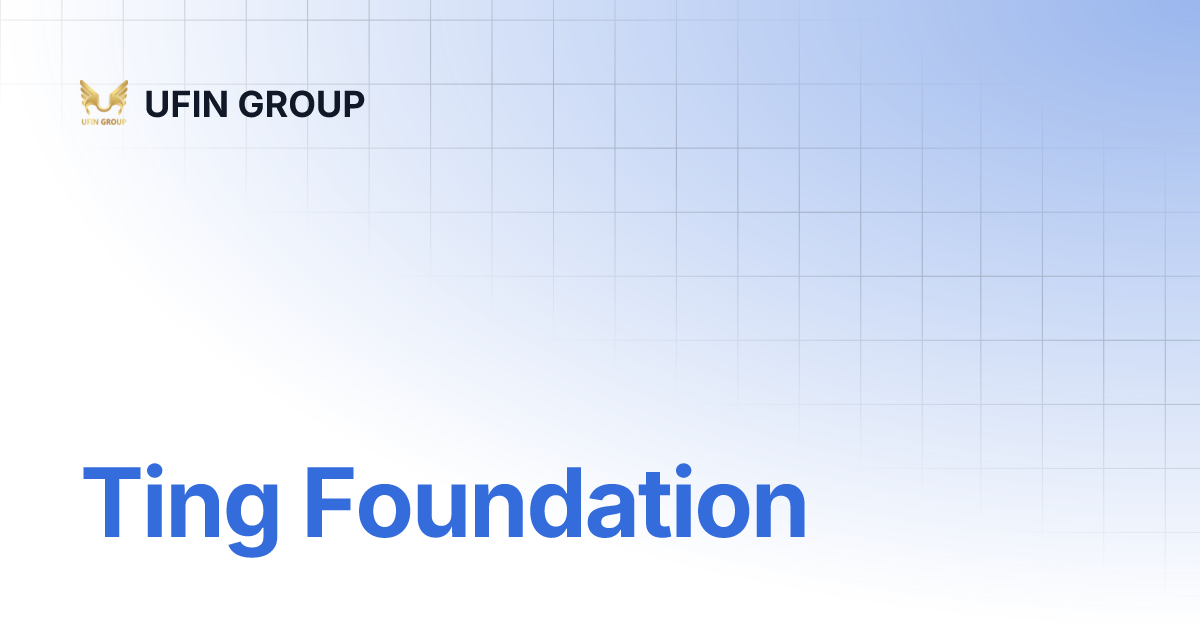Ting Foundation | UFIN GROUP
